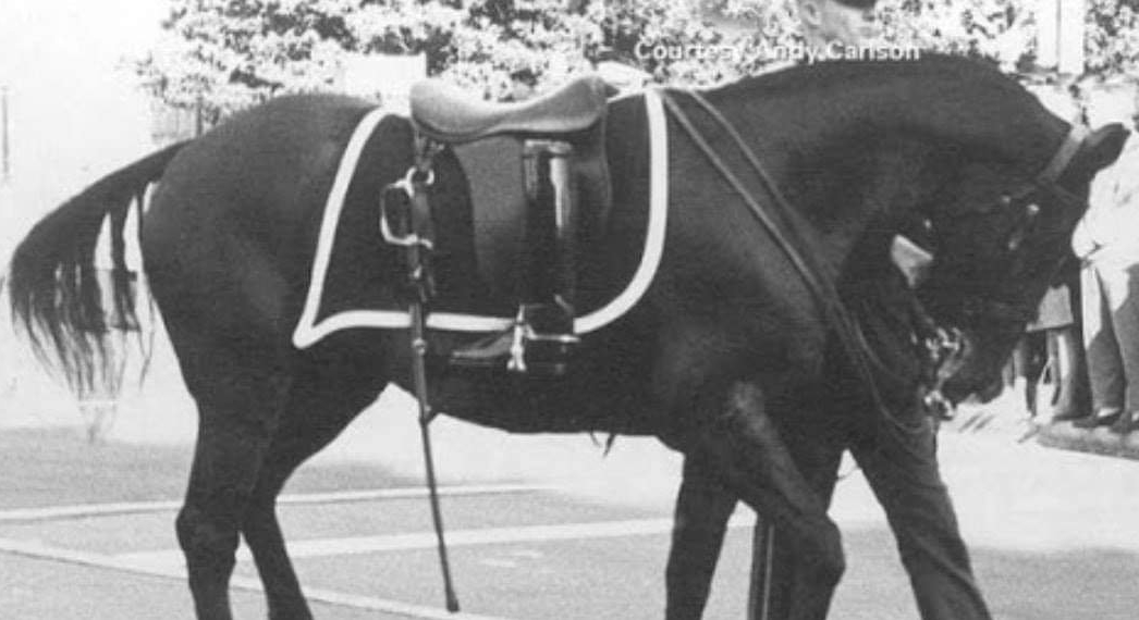 THE SKELETON KEY CHRONICLES